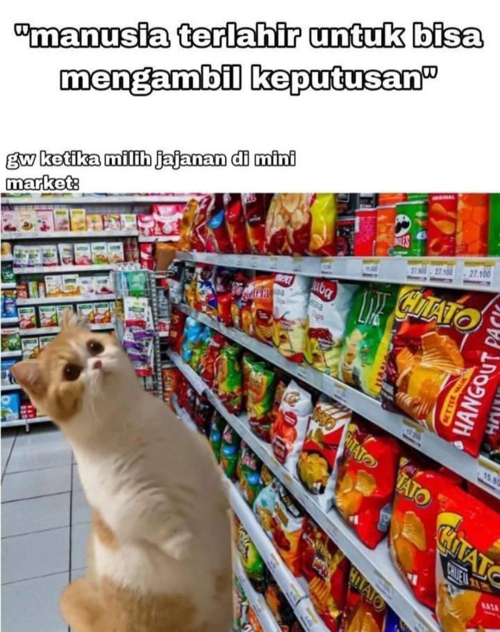 7 Meme Belanja Bulanan di Minimarket, Rutin Cari Diskonan