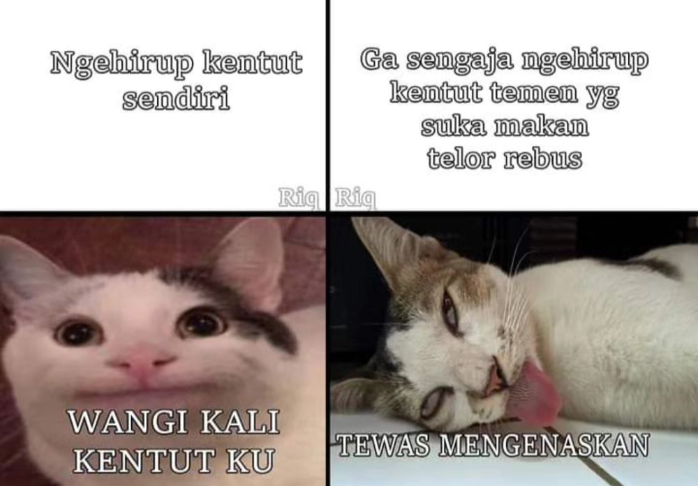 7 Meme Kentut di Keramaian, Bikin Kawan Saling Tuduh
