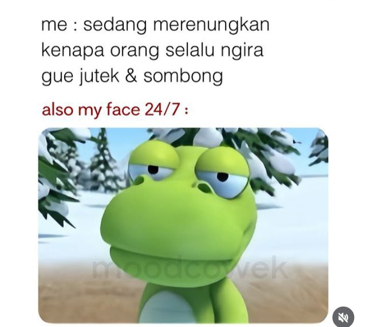 7 Meme Muka Jutek, padahal Setelan Pabrik