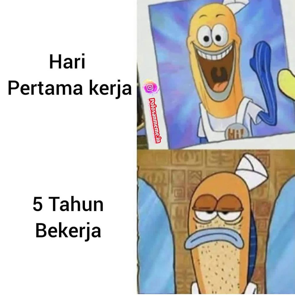 Meme Pegawai Baru saat Awal-awal Masuk Kerja
