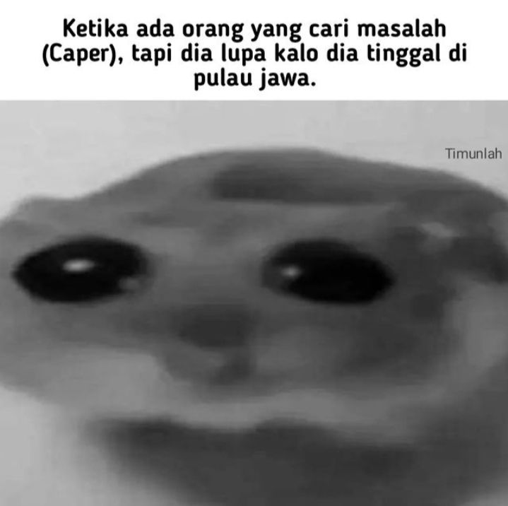 7 Meme Caper biar Dapat Pujian, Dimusuhin Sirkel Pertemanan?