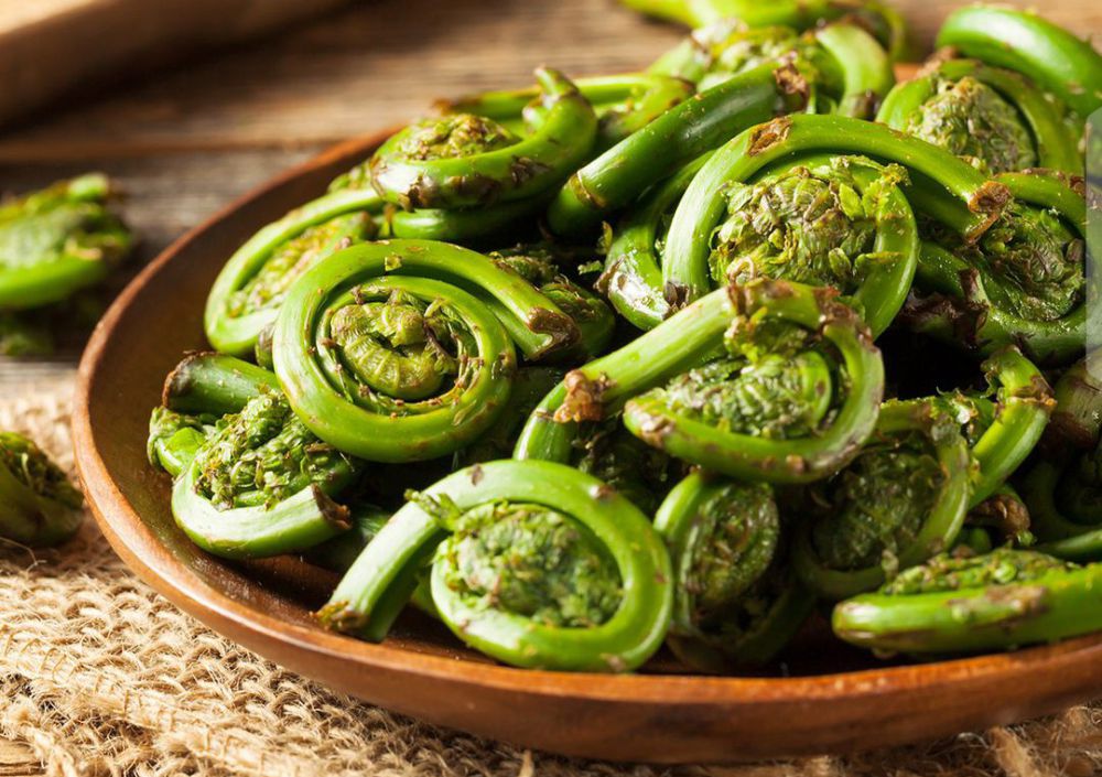 8 Jenis Sayur yang Bisa Dijadikan Rendang