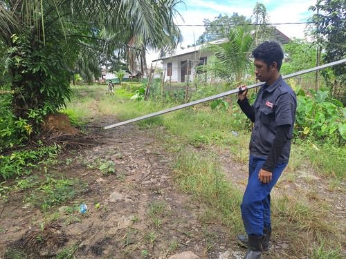 Harga Tbs Kelapa Sawit Di Kaltim Naik Terimbas Harga Cpo