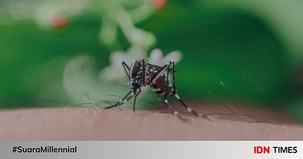 Dinkes Sumsel Ingatkan Peralihan Musim jadi Waktu Mewabahnya