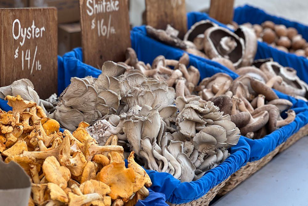 5 Tips Memilih Jamur Segar dari Petani Lokal, Wajib Tahu!