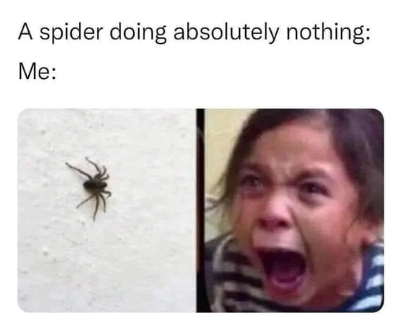 7 Meme Orang Fobia Laba-laba, Baru Ngelihat Udah Heboh