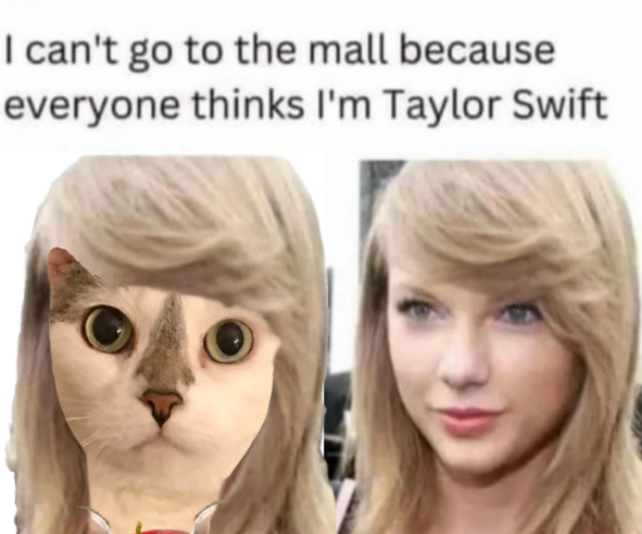 7 Meme Swifties, Penggemar Taylor Swift Wajib Merapat!