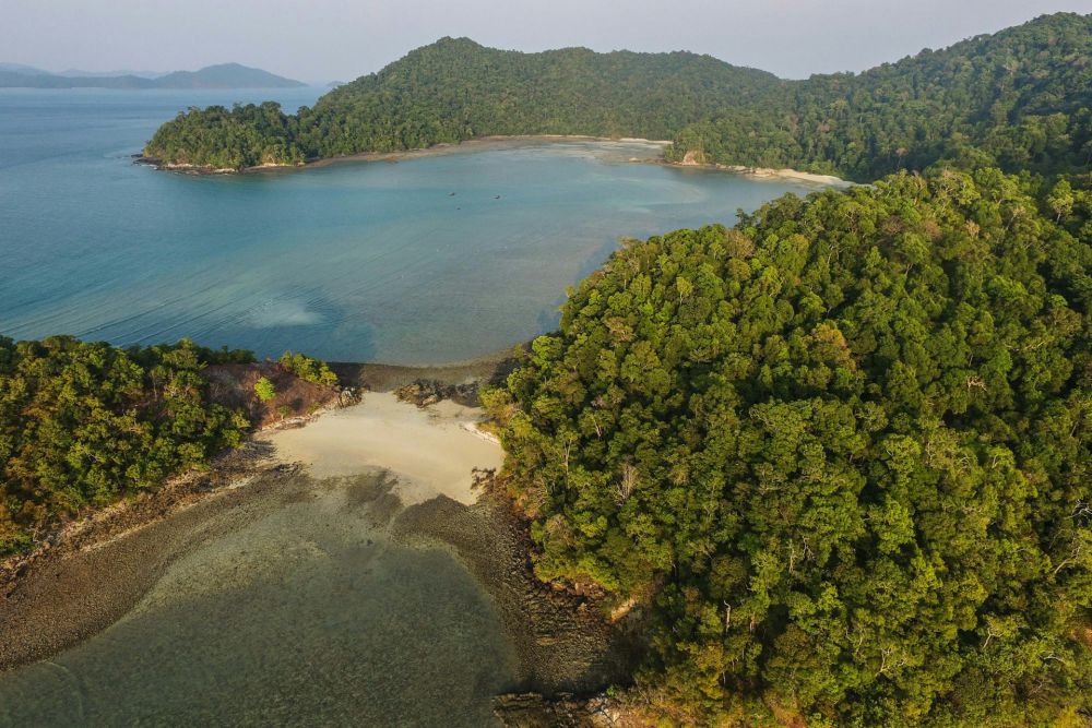 Adik Prabowo Ajak Jeff Bezos Investasi Hijau di RI