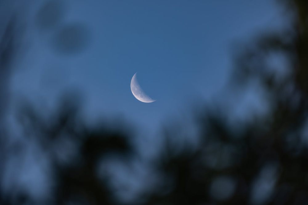 3 Fakta Konjungsi Bulan dan Venus, Terjadi 5 November 2024