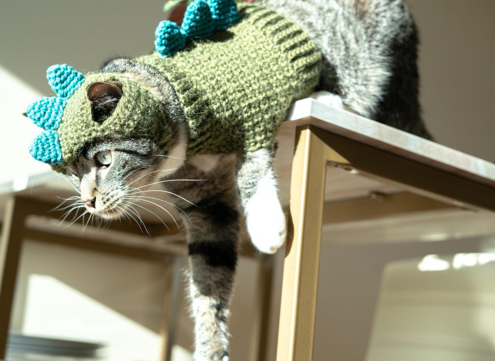 7 Foto Lucu Kucing Mujair Pakai Kostum Dinosaurus Hijau