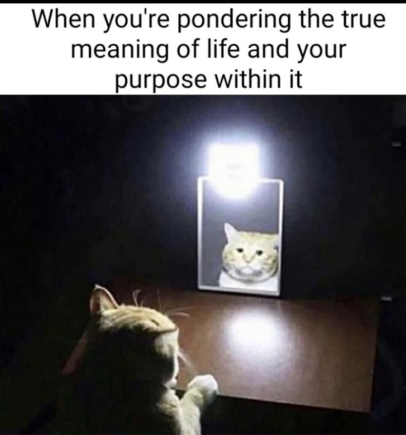 7 Meme Arti dan Tujuan Hidup, Arahnya Mau ke Mana, sih?