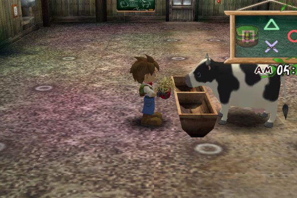 3 Tips Awali Permainan Harvest Moon: A Wonderful Life di PS2