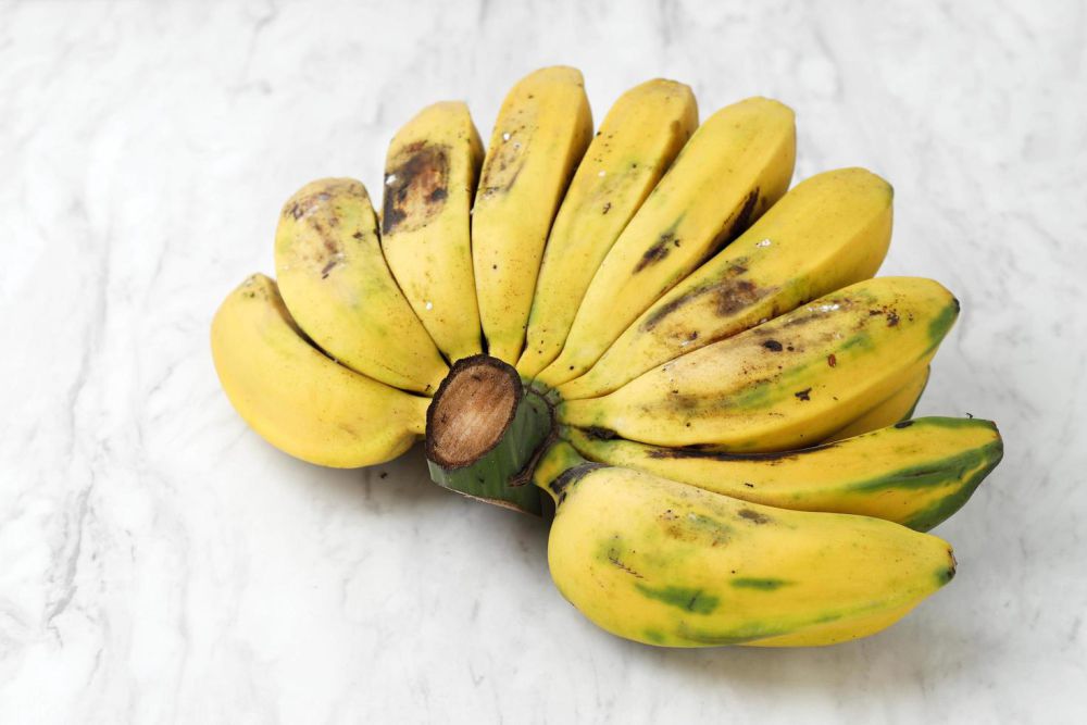 Resep Bolu Pisang Kepok yang Lembut dan Moist untuk Perayaan