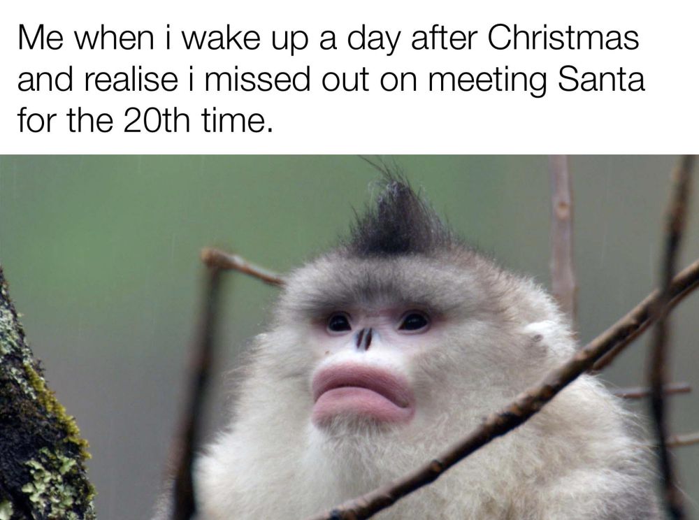 7 Meme Santa Claus, Banyak yang di Luar Nurul!