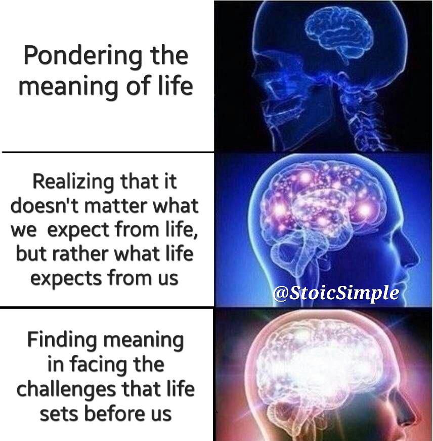 7 Meme Arti dan Tujuan Hidup, Arahnya Mau ke Mana, sih?