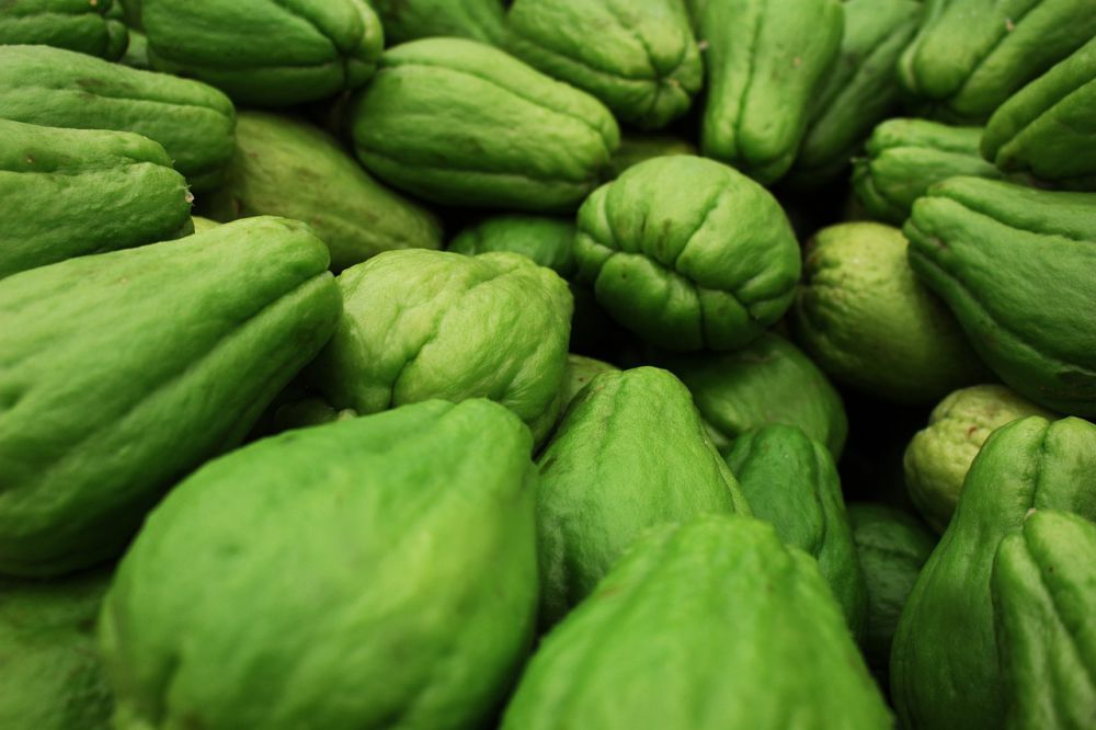 5 Tips Membuat Sayur Asem Labu Siam Pedas yang Segar Nikmat