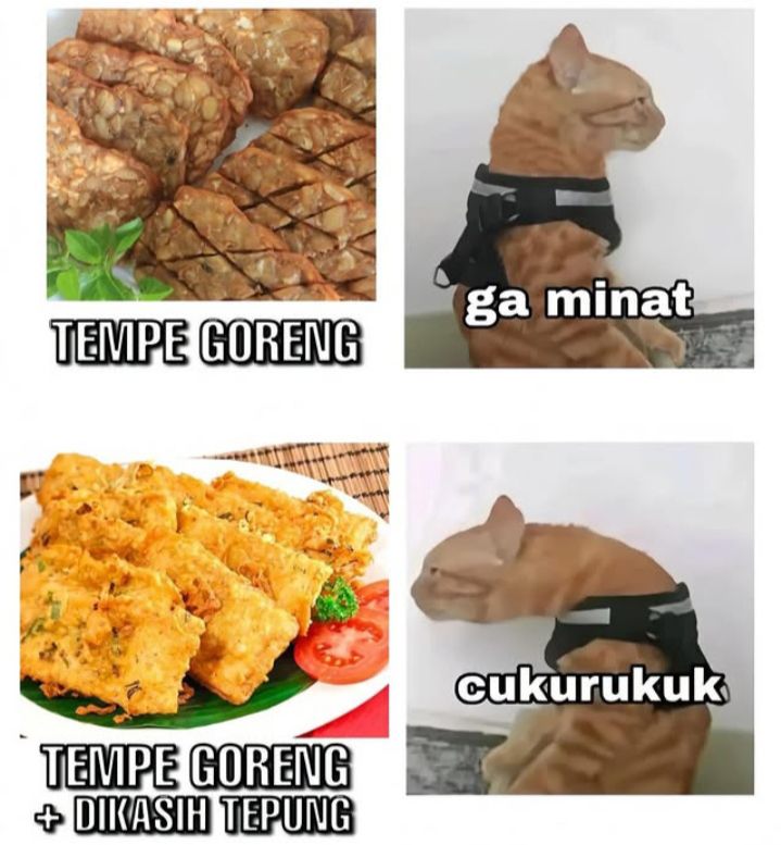 7 Meme Kucing Cukurukuk vs. Gak Minat
