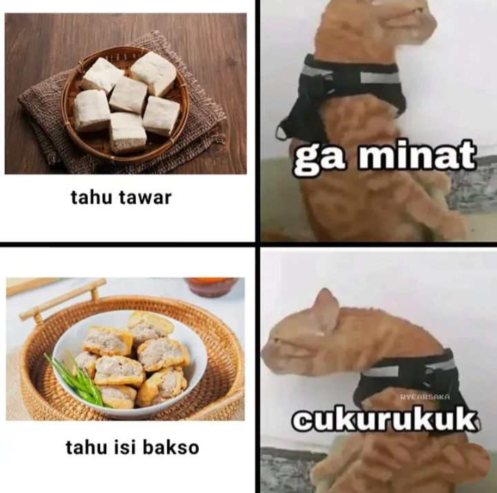 7 Meme Kucing Cukurukuk vs. Gak Minat