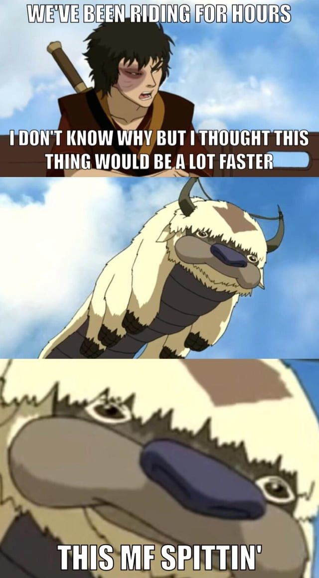 8 Meme Appa Avatar: The Last Airbender, Hewan Kesukaan Aang!