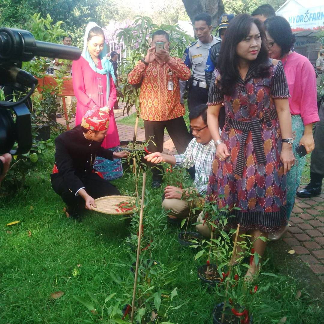Jarang Diekspos, Inilah 10 Foto Kemesraan Djarot dan Istrinya Jarang Diekspos, Inilah 10 Foto Kemesraan Djarot dan Istrinya