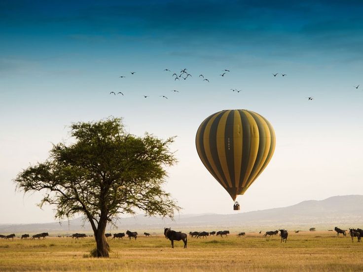 7 Negara Terbaik untuk Menikmati Wisata Balon Udara, Pilih Mana? | IDN ...