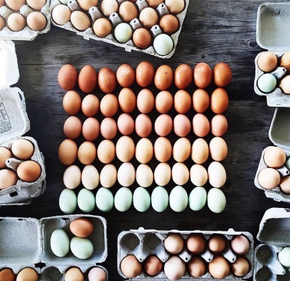Super Cantik! Beginilah 15 Potret Warna Gradasi Bahan Makanan | IDN Times