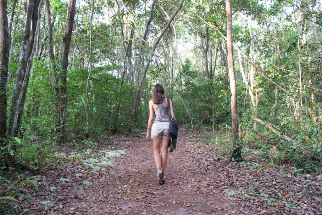 7 Hal Unik Ini Hanya Bisa Kamu Temui di Tanjung Puting, Yuk ke Sana! 7 Hal Unik Ini Hanya Bisa Kamu Temui di Tanjung Puting, Yuk ke Sana!