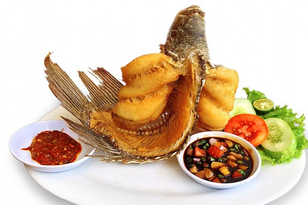 So Yummy! Ini 10 Olahan Ikan Gurami Khas Indonesia So Yummy! Ini 10 Olahan Ikan Gurami Khas Indonesia