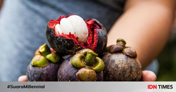 Keran Ekspor Buah Manggis Tanggamus Diproyeksi Banjiri Asia