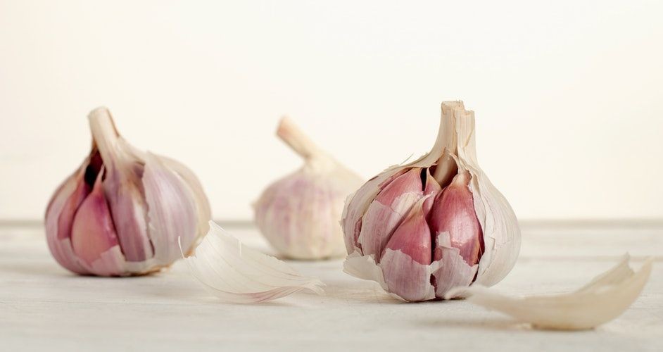 10 Bahan Makanan Ini Ternyata Tidak Boleh Diblender, Bisa Merusak 10 Bahan Makanan Ini Ternyata Tidak Boleh Diblender, Bisa Merusak