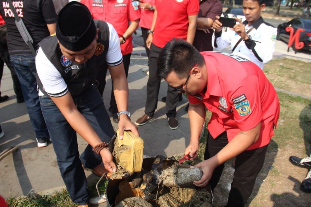 75 Ribu linting Ganja Dibakar di Alun-alun Tigaraksa