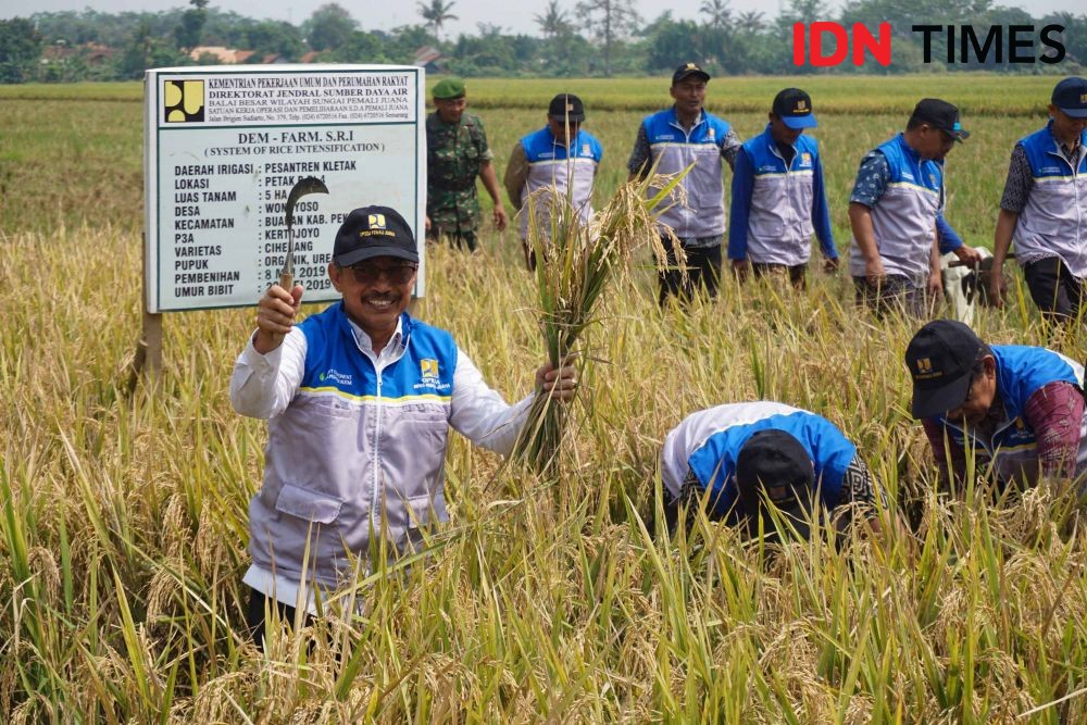 Menteri Bumn Minta Lahan Bekas Tambang Jadi Pertanian Rakyat