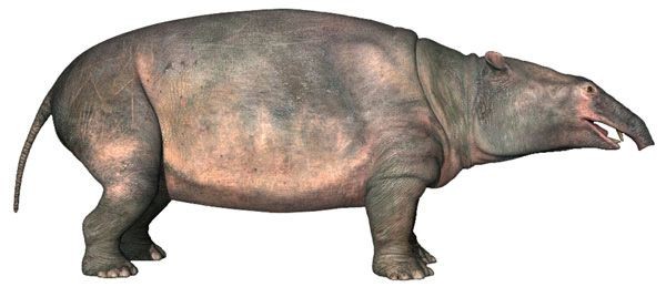 10 Spesies Gajah Purba dengan Wujud Unik, Jauh Berbeda