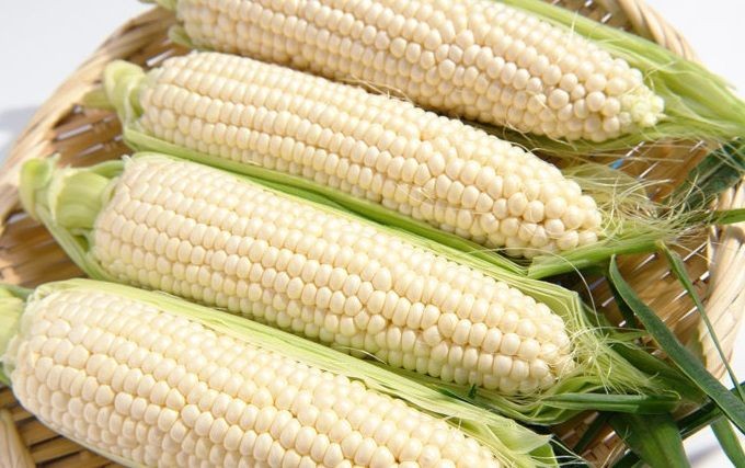 7 Jenis Jagung yang Populer di Indonesia, Kenali Perbedaannya 7 Jenis Jagung yang Populer di Indonesia, Kenali Perbedaannya