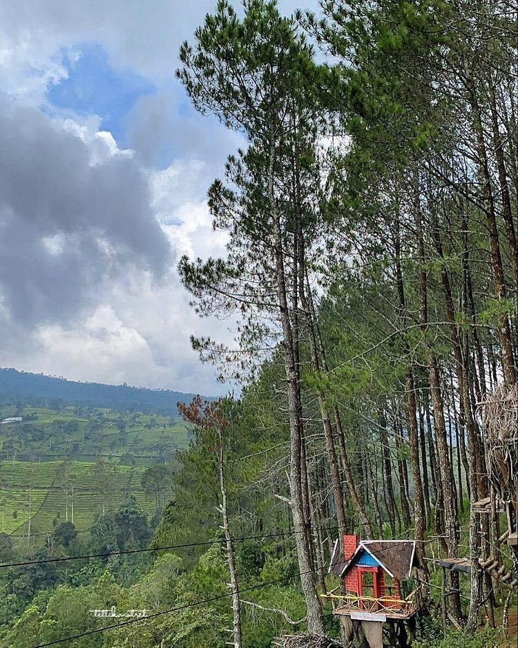Potret Curug Layung Lembang, Surga Tersembunyi di Bandung