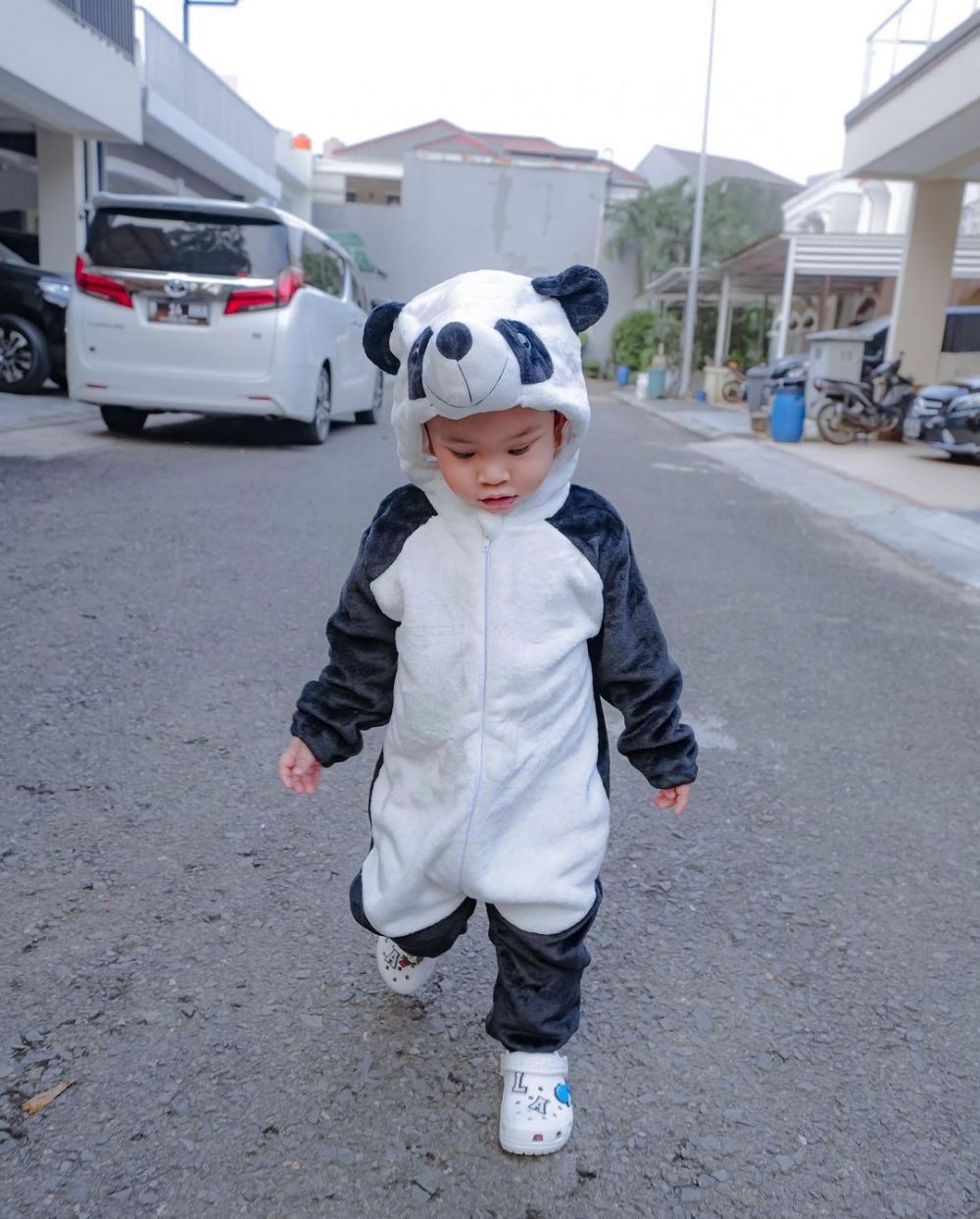 10 Potret Gala Sky Pakai Kostum Panda, Sudah Bisa Gaya!