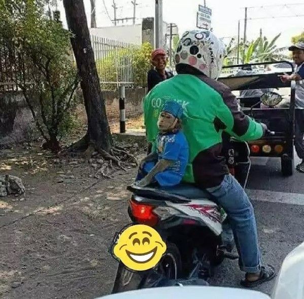 15 Potret Lucu Ketika Hewan Diajak Jalan-jalan, Anteng Aja! 15 Potret Lucu Ketika Hewan Diajak Jalan-jalan, Anteng Aja!