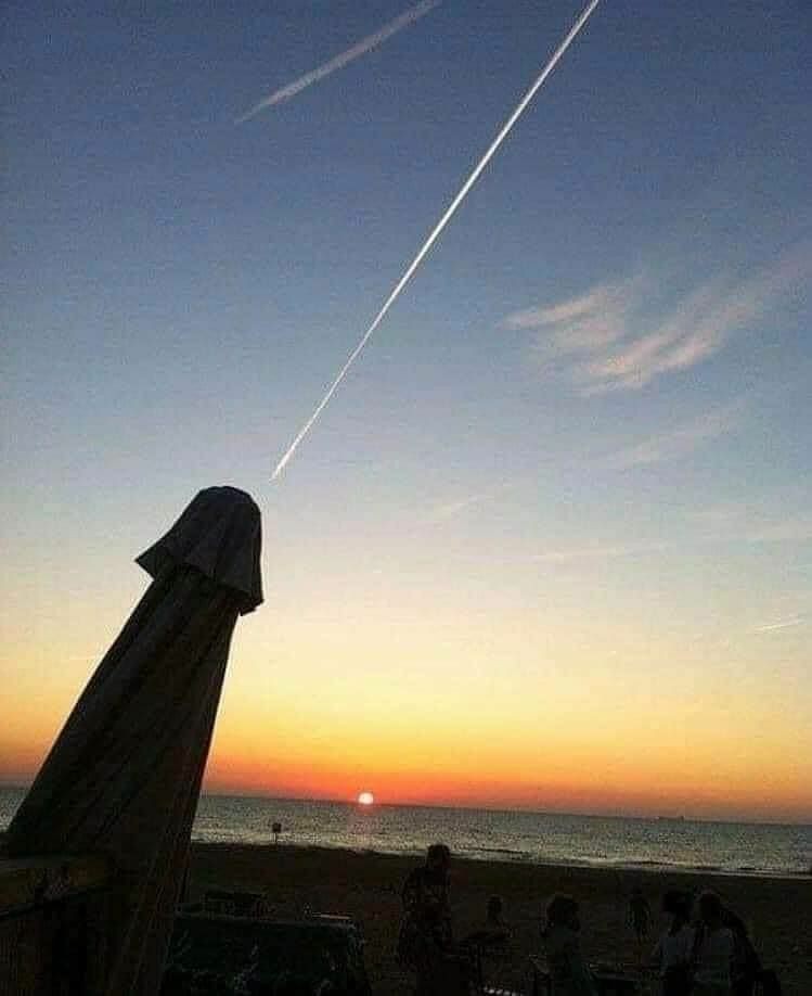 Jangan Terkecoh, 15 Potret Kocak Ini Sekilas Tampak Ngeres