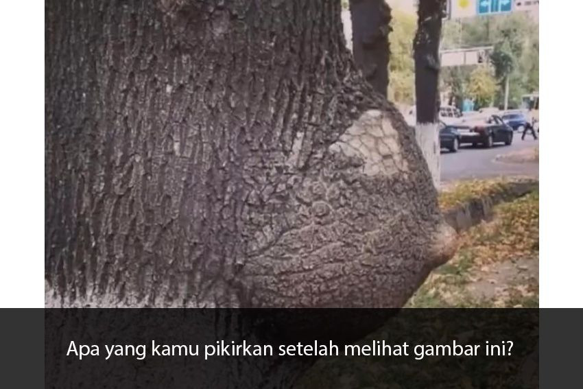 [QUIZ] Dari Foto Pohon Ambigu Ini, Tes Seberapa Bersih Pikiran Kamu