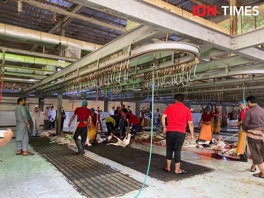 [FOTO] Pasar Kambing Makkah, Tempat Beli-Sembelih Hewan Dam | IDN Times