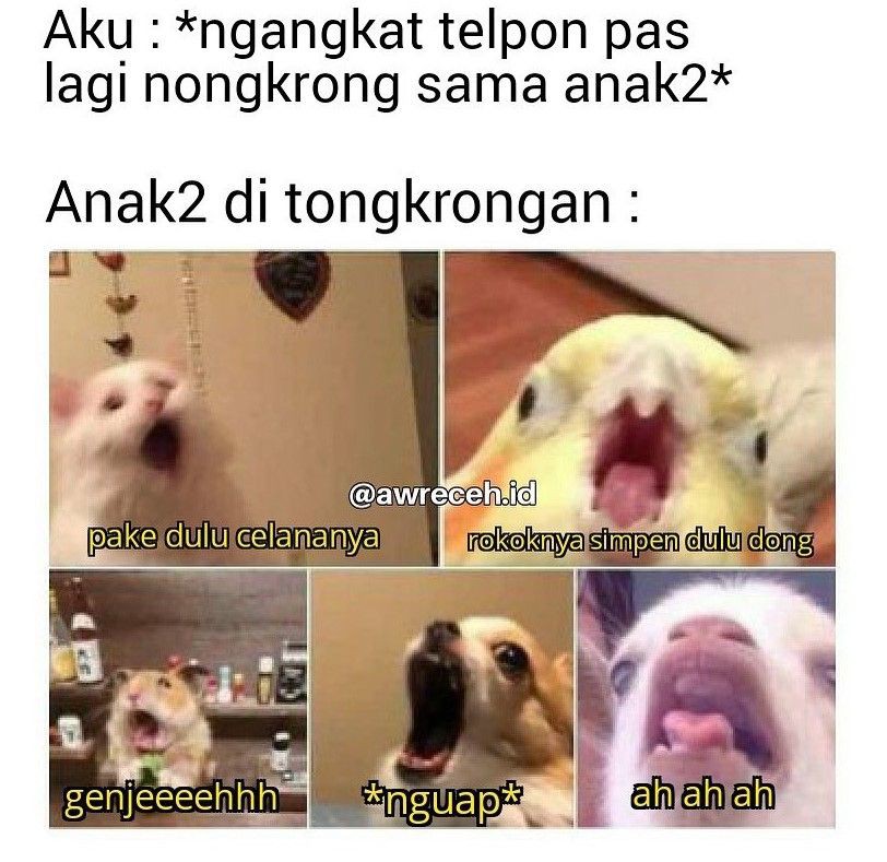 8 Meme Obrolan Absurd Ini Cuma Anak Nongkrong yang Paham