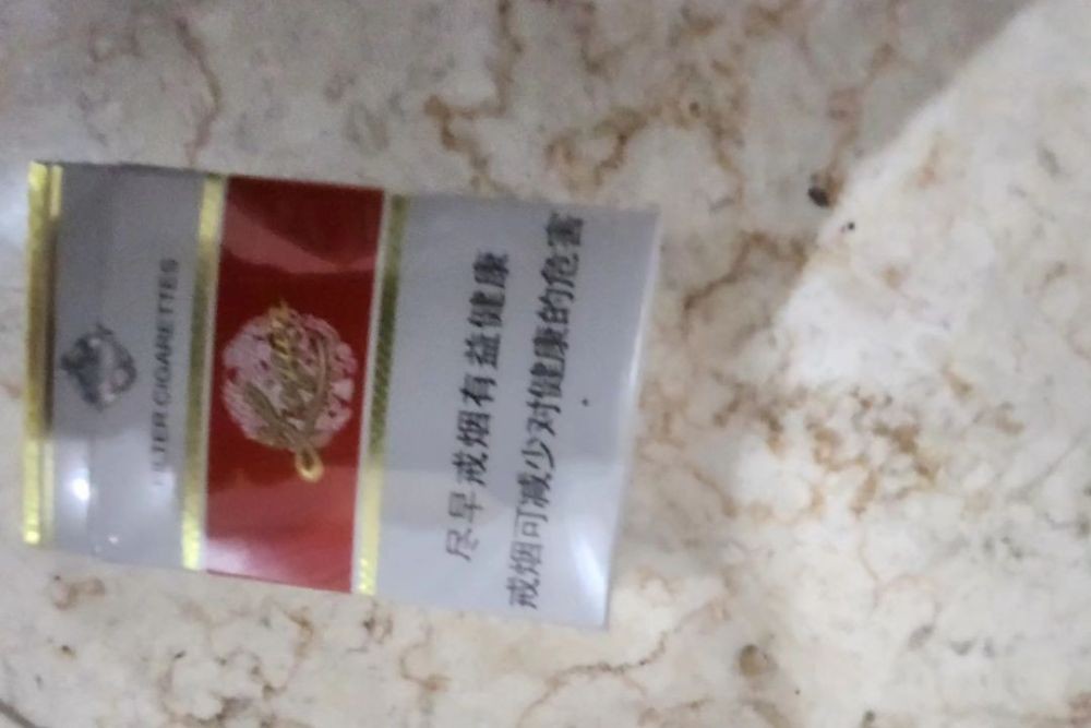 Rumah Dino Patti Djalal Diduga Jadi Markas Penipuan Online Rumah Dino Patti Djalal Diduga Jadi Markas Penipuan Online