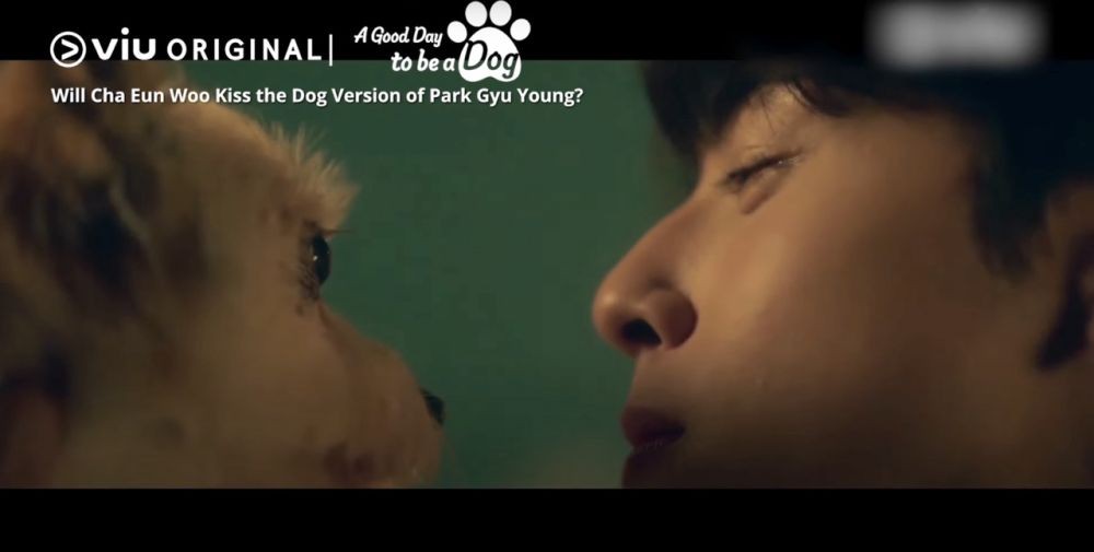 Cha Eun Woo Sulit Cium Lawan Main di A Good Day to Be A Dog
