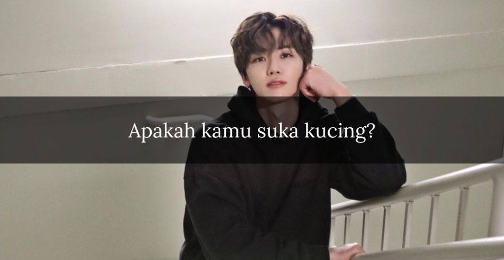[QUIZ] Apakah Kamu dan Jaemin NCT Dream Cocok Pelihara Kucing Bersama?