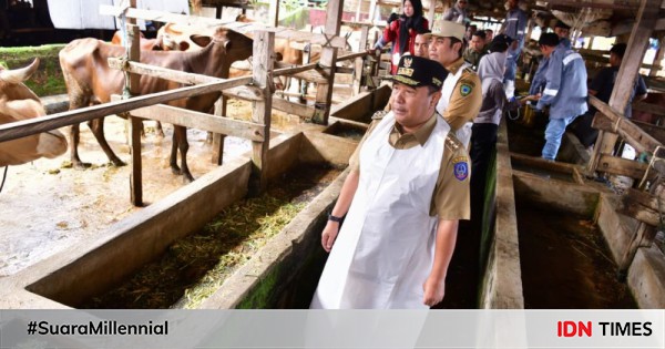 Pj Gubernur Tinjau Kawin Suntik Sapi Unggul di Maros Pj Gubernur Tinjau Kawin Suntik Sapi Unggul di Maros