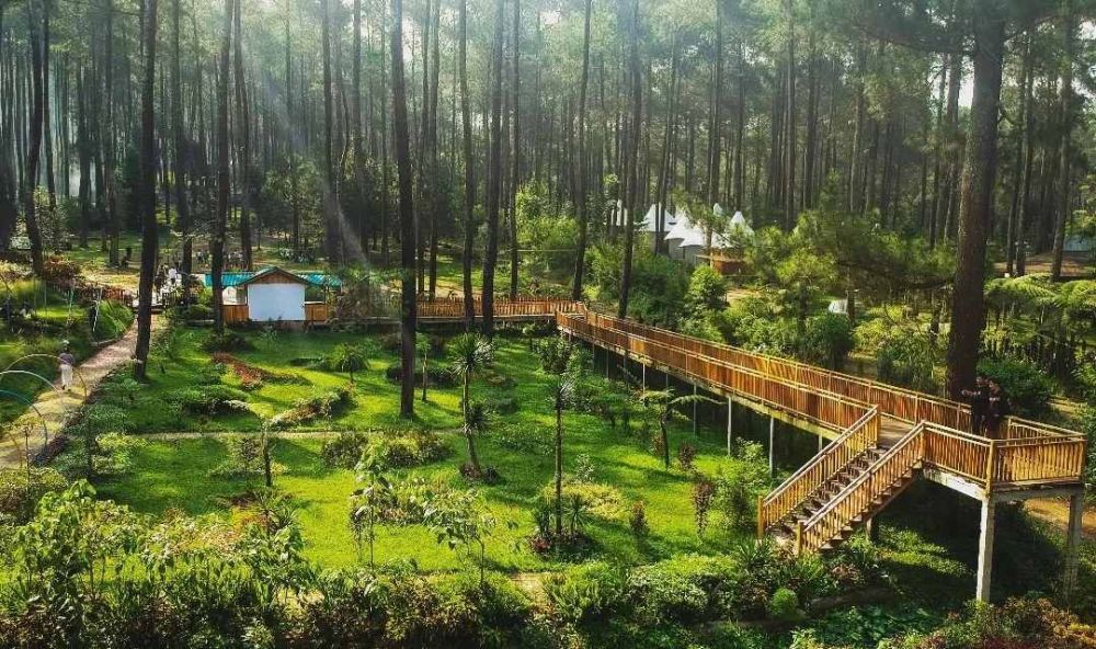 10 Hutan Pinus Terbaik di Lembang yang Bikin Jiwa Tenang